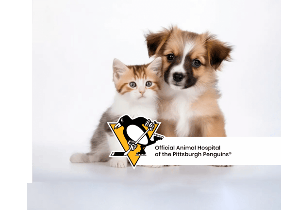 Windrose Animal Hospital & Urgent Care | Cranberry Twnshp Walk-In Vet