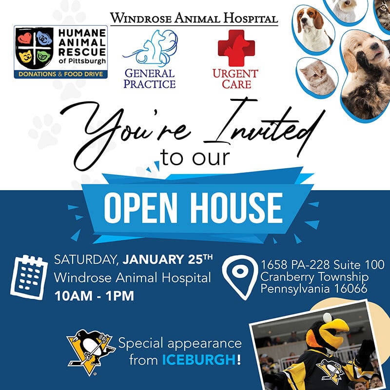 Windrose Animal Hospital & Urgent Care | Cranberry Twnshp Walk-In Vet