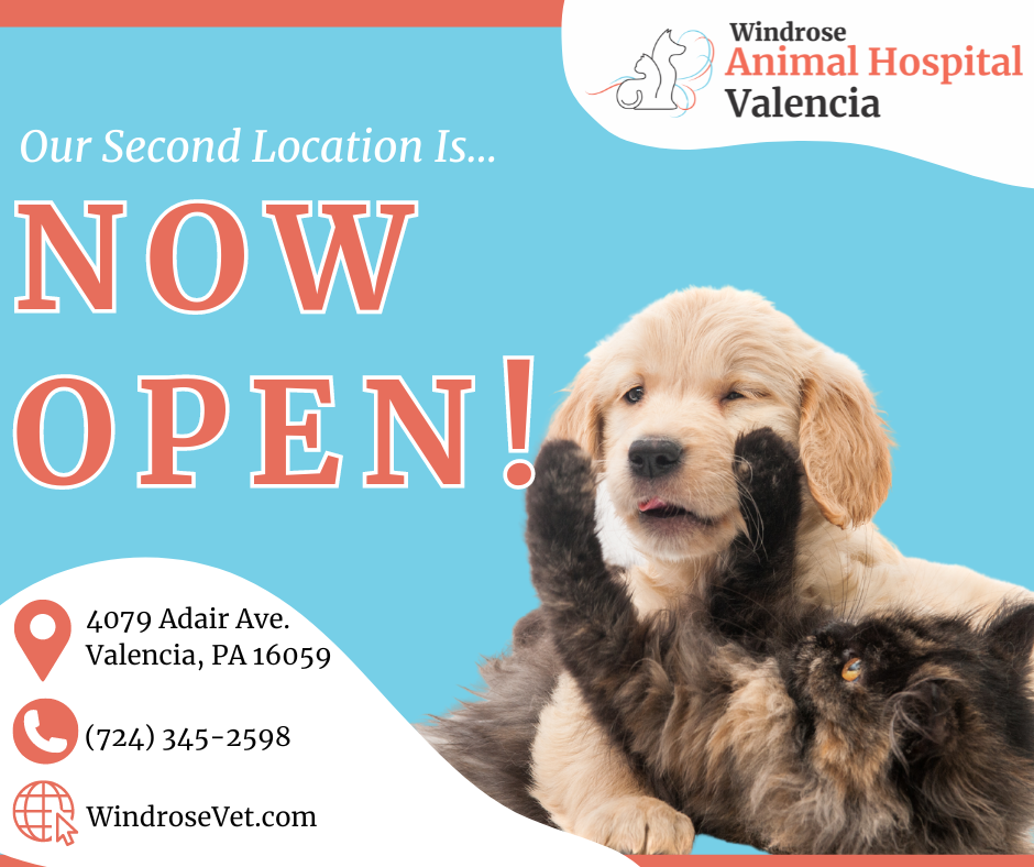 Windrose Animal Hospital & Urgent Care | Cranberry Twnshp Walk-In Vet